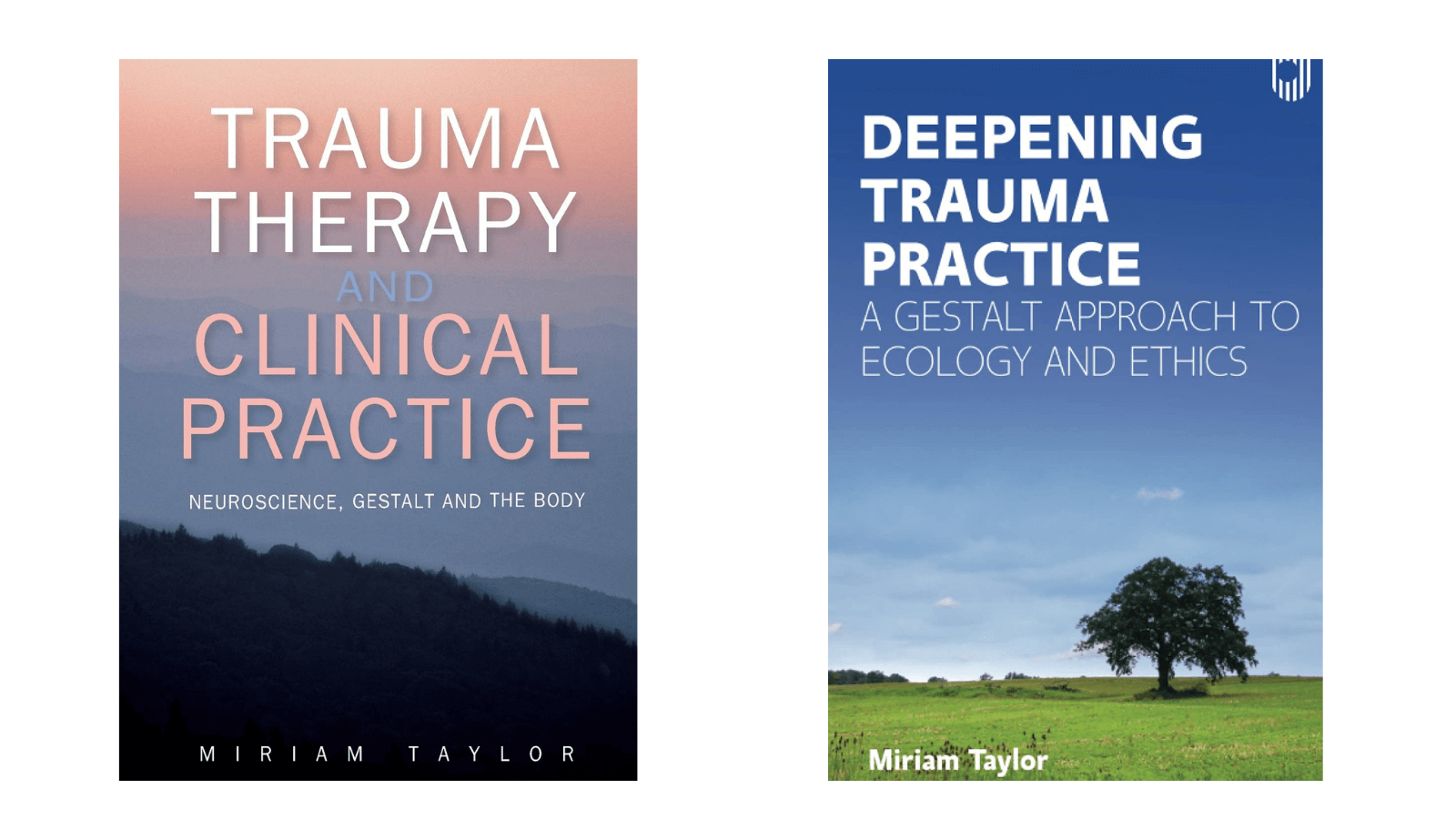 Miriam Taylor: In Conversation - Brighton Therapy Partnership